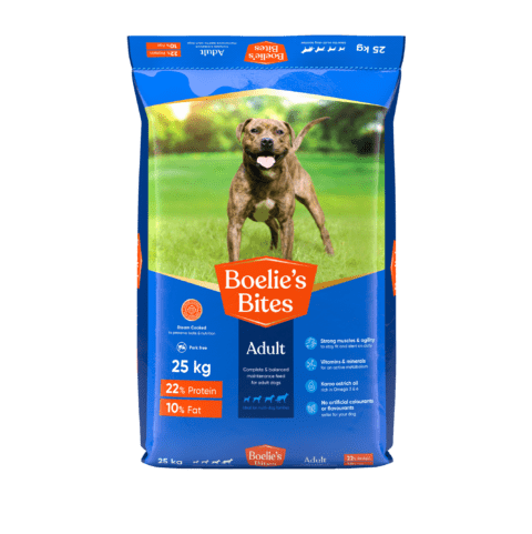 Boelie's Bites | Dog food for multi-dogs families